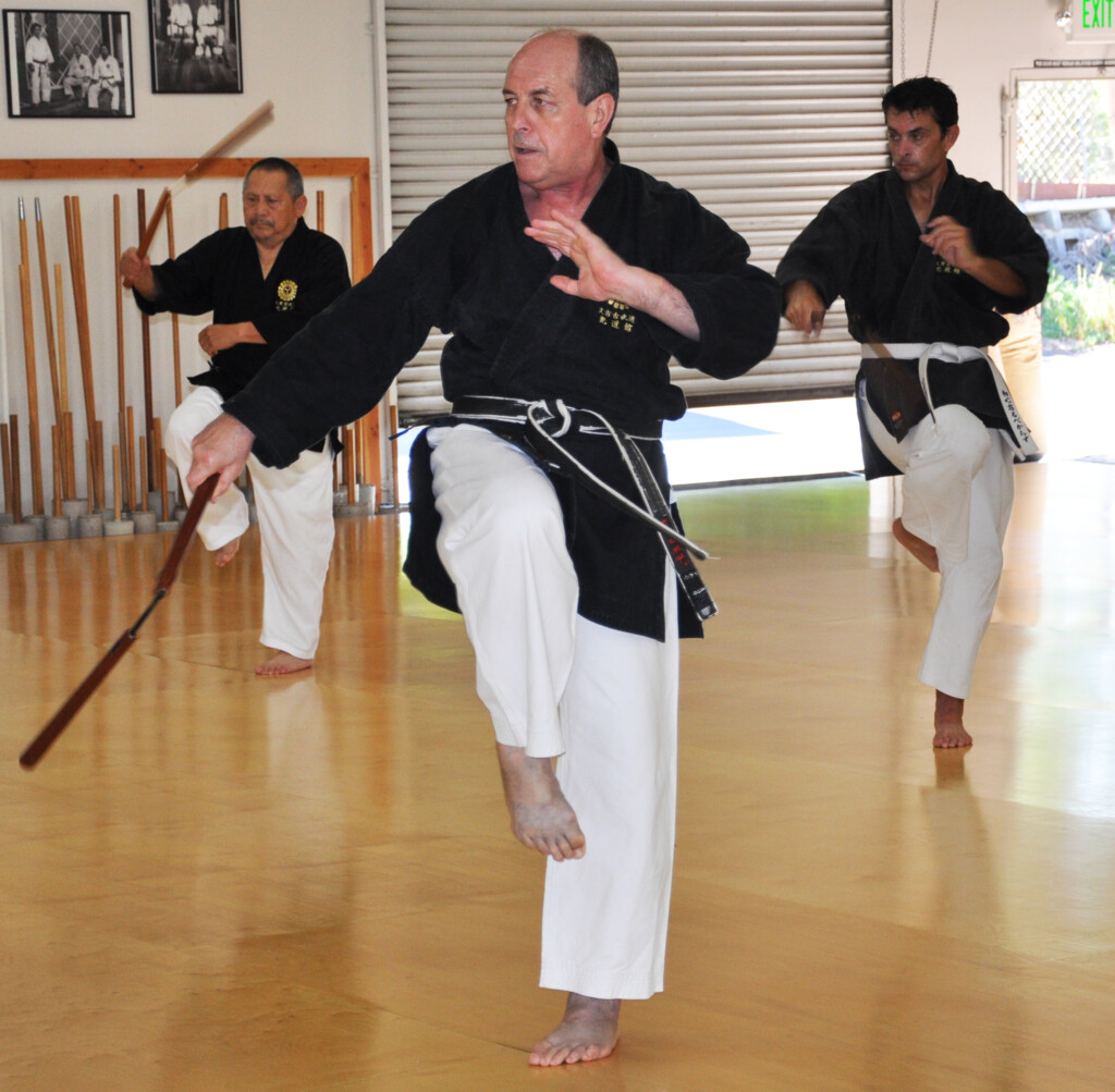 Kobudo Classes – Bushikan